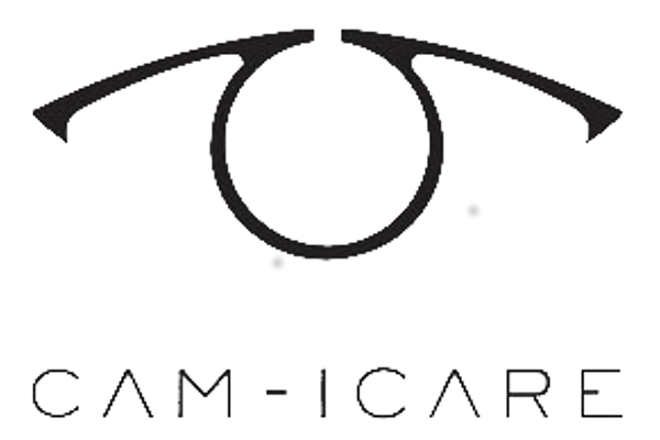 Compliance Manager with Cam-Icare Co., Ltd.