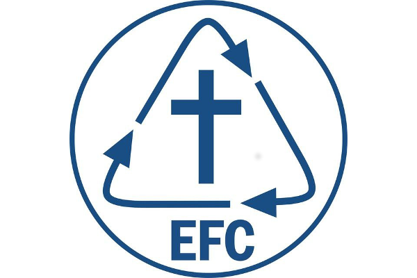 Consultancy for Conducting the Project Evaluation for EFC-Youths and ...