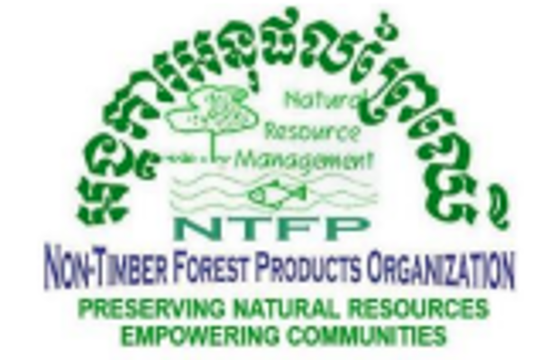 Project Manager with Non-Timber Forest Products