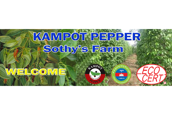 Administrator with Sothy's Pepper Farm