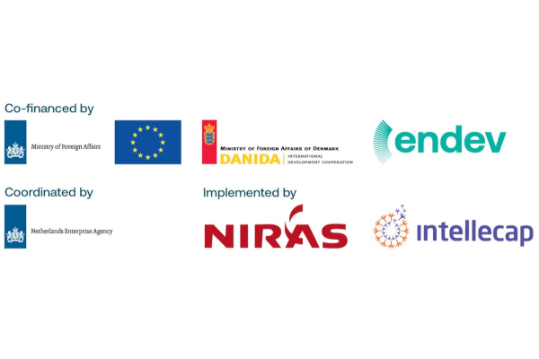 Business Mentoring with NIRAS Group (UK) Limited