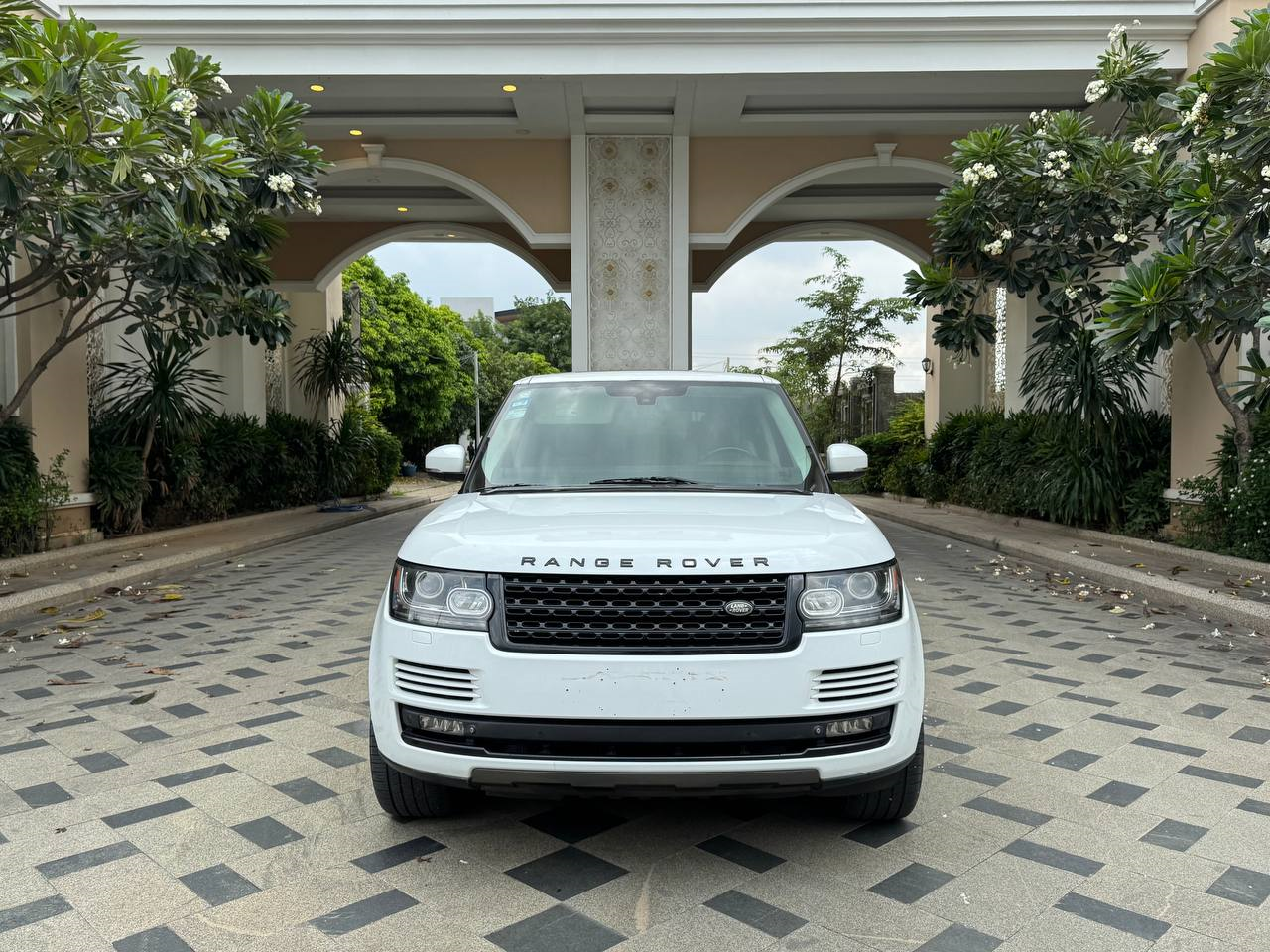 Car for rental (Luxury )